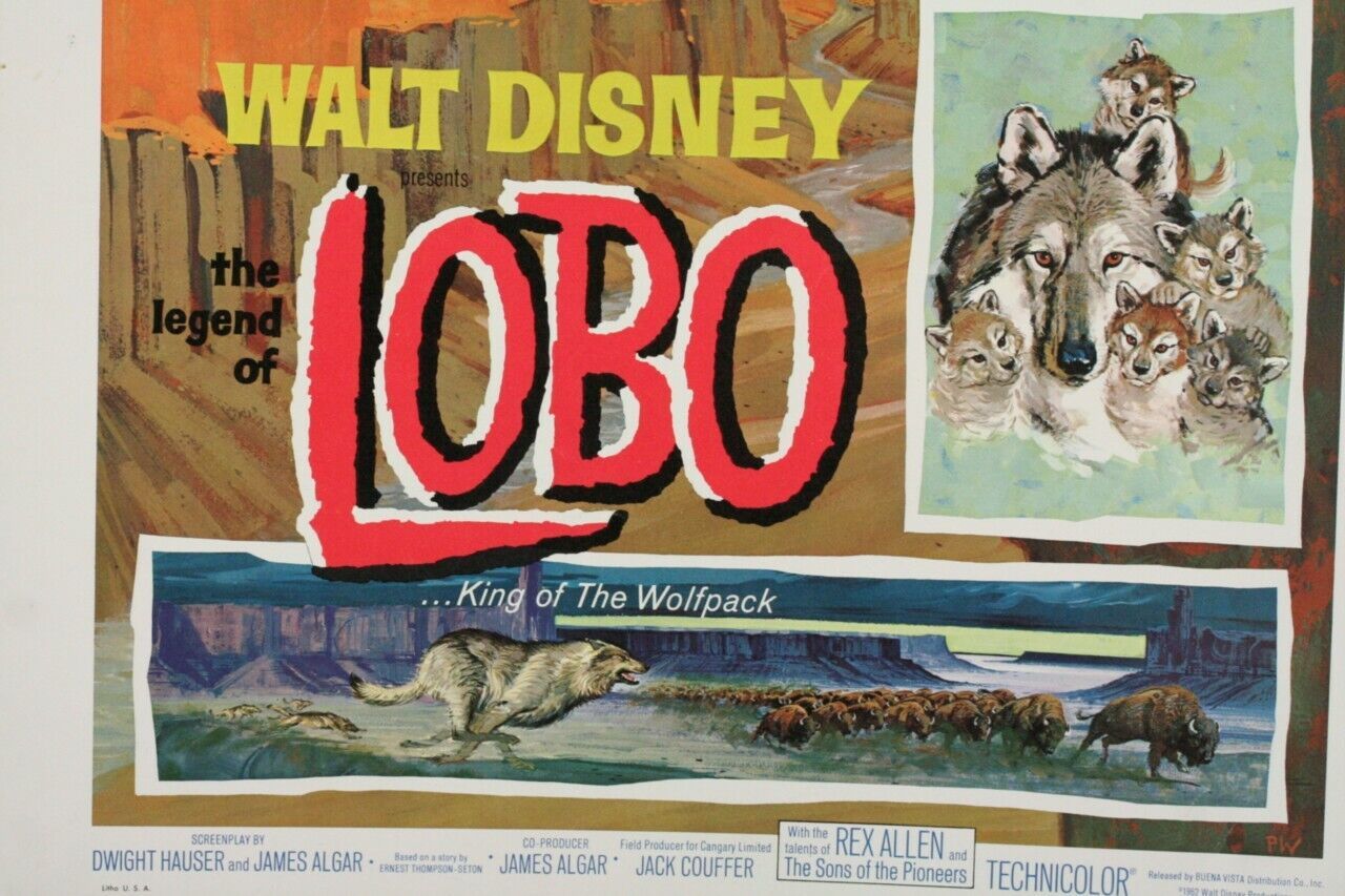 Vintage Movie Walt Disney The Legend of LOBO Rex Allen Litho Lobby ...