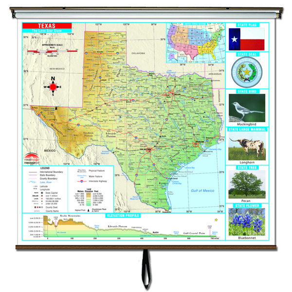 Texas State Primary Thematic Wall Map on Roller w/ Backboard - Mixed Lots
