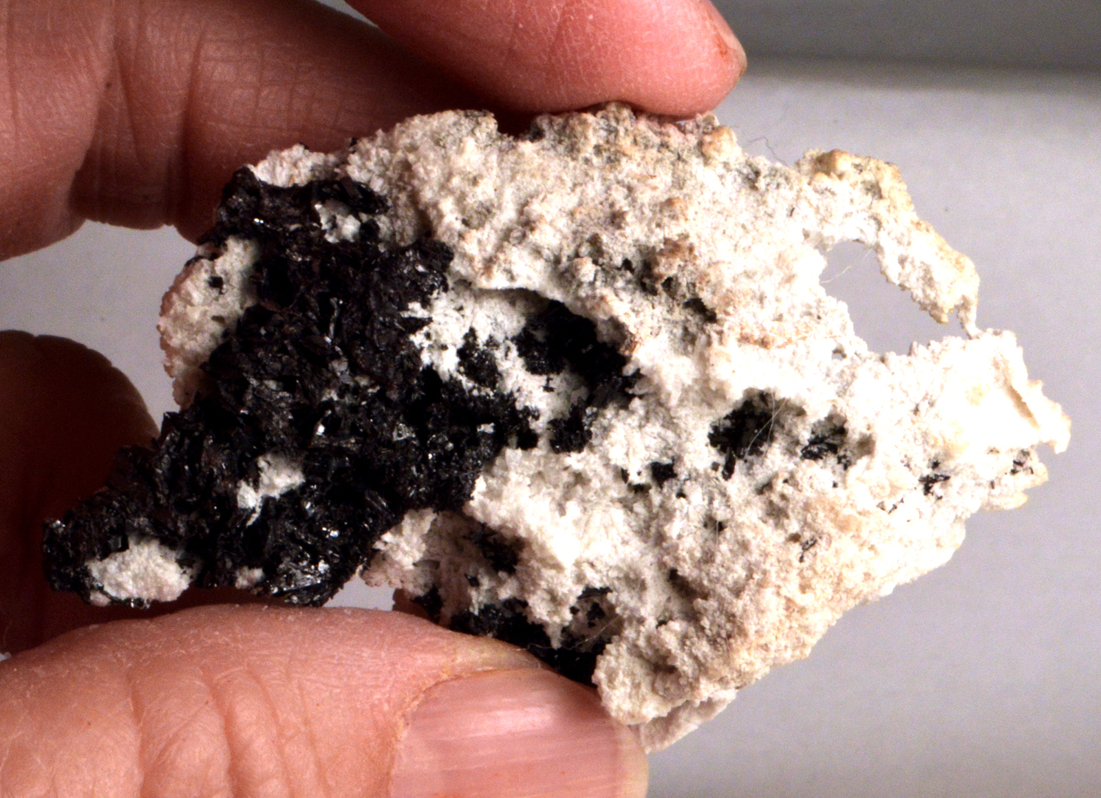 #7041 Hubnerite [Huebnerite] - Adams Mine, Colorado - Display Specimens