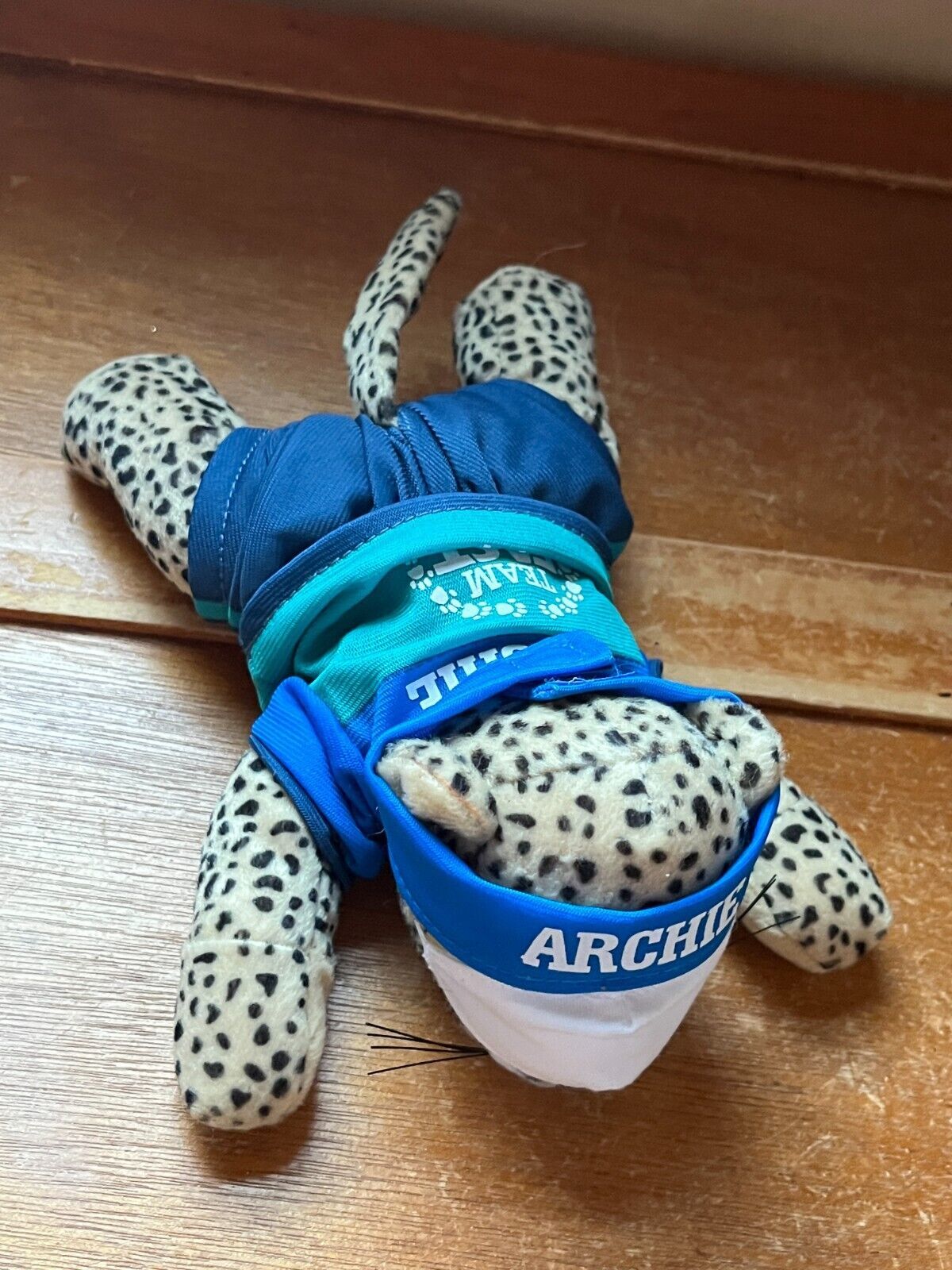 Build a Bear Small Spotted Leopard Cheetah ARCHIE Fast in Running ...