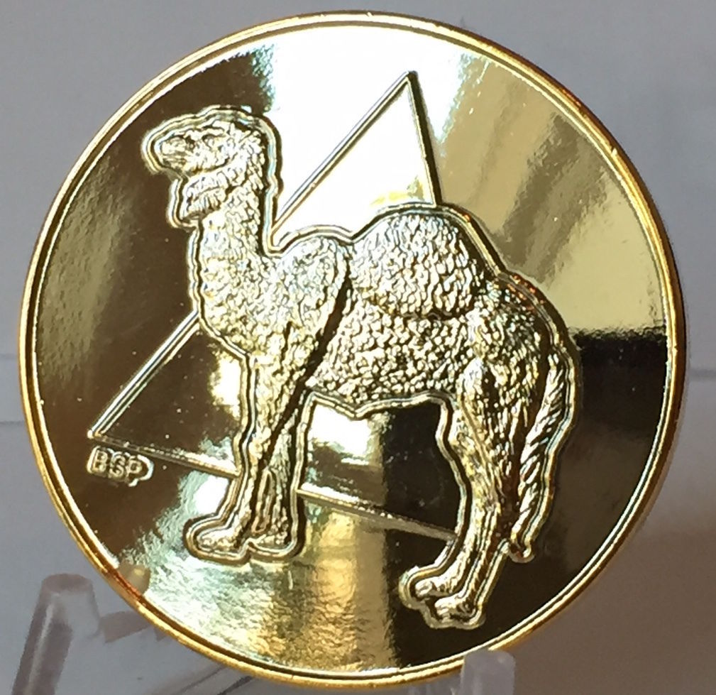 Camel Triangle 22k Gold Plated AA Medallion Sobriety Chip Pocket Token ...