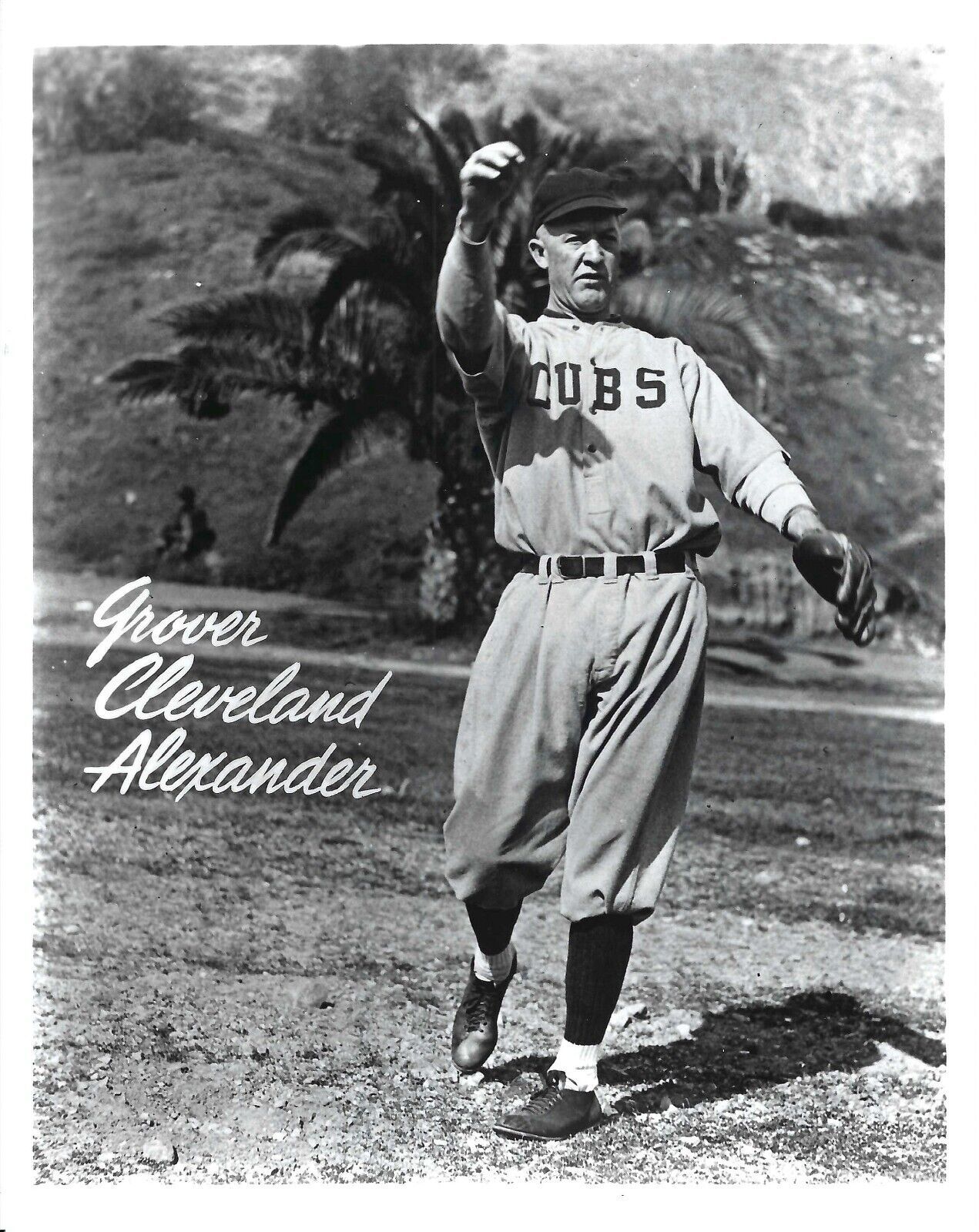 GROVER CLEVELAND ALEXANDER 8X10 PHOTO CHICAGO CUBS BASEBALL PICTURE MLB ...