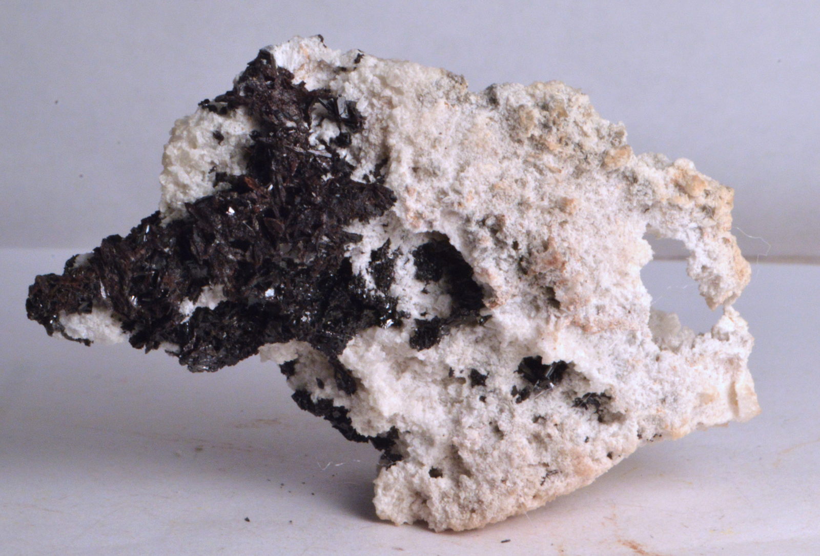 #7041 Hubnerite [Huebnerite] - Adams Mine, Colorado - Display Specimens