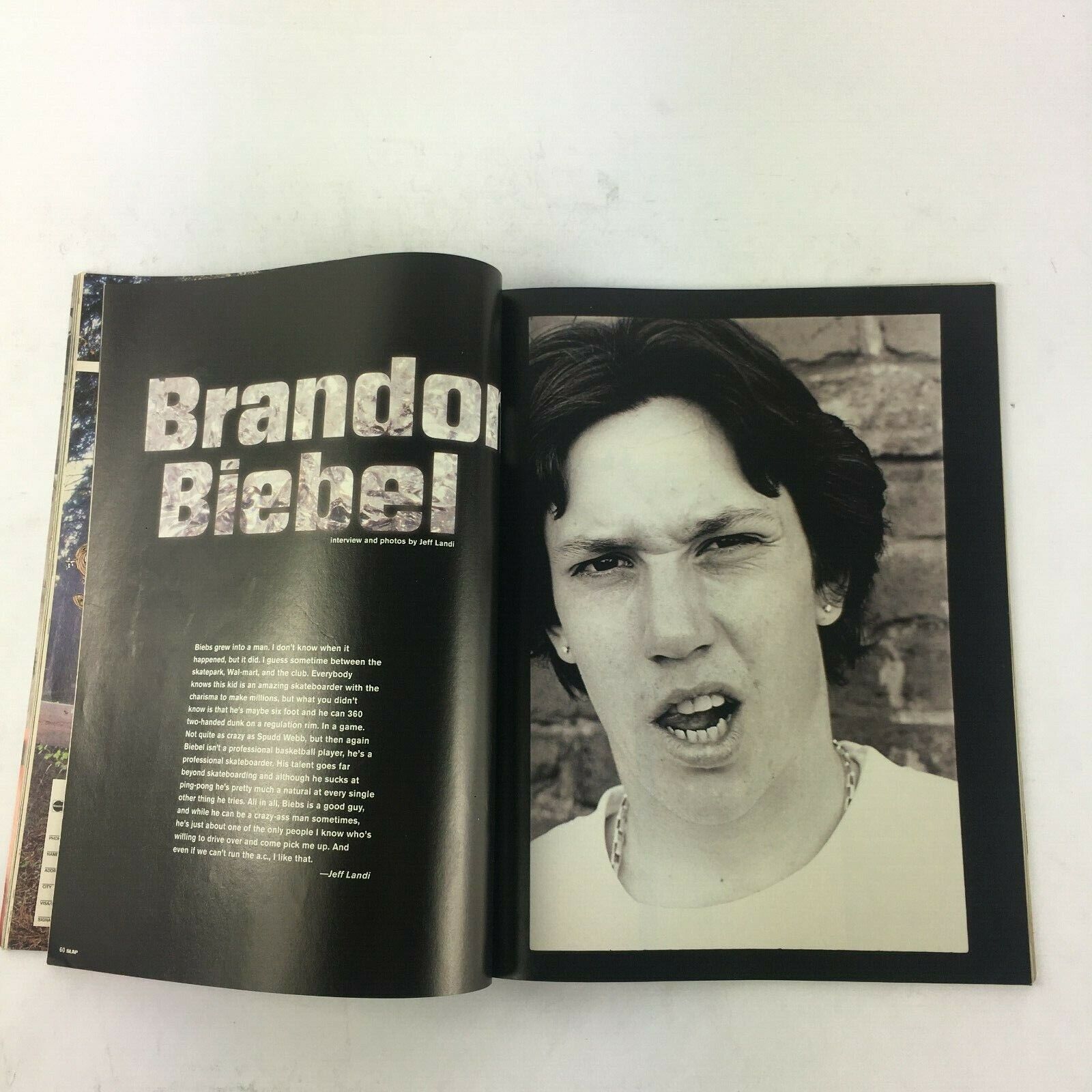 December 2002 Slap Skateboard Magazine Brandon Biebel Darrell Stanton Zoo Animal - Magazines