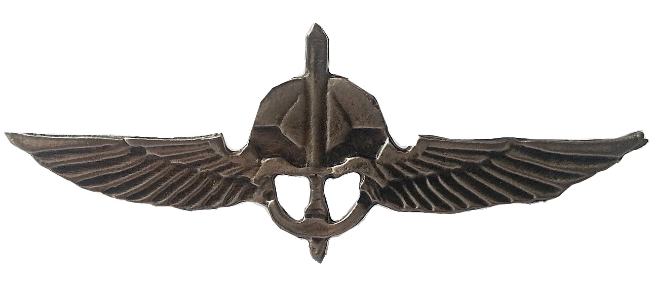 Israel IDF SAYERET DUVDEVAN commando new BIG badge Israeli army elite ...