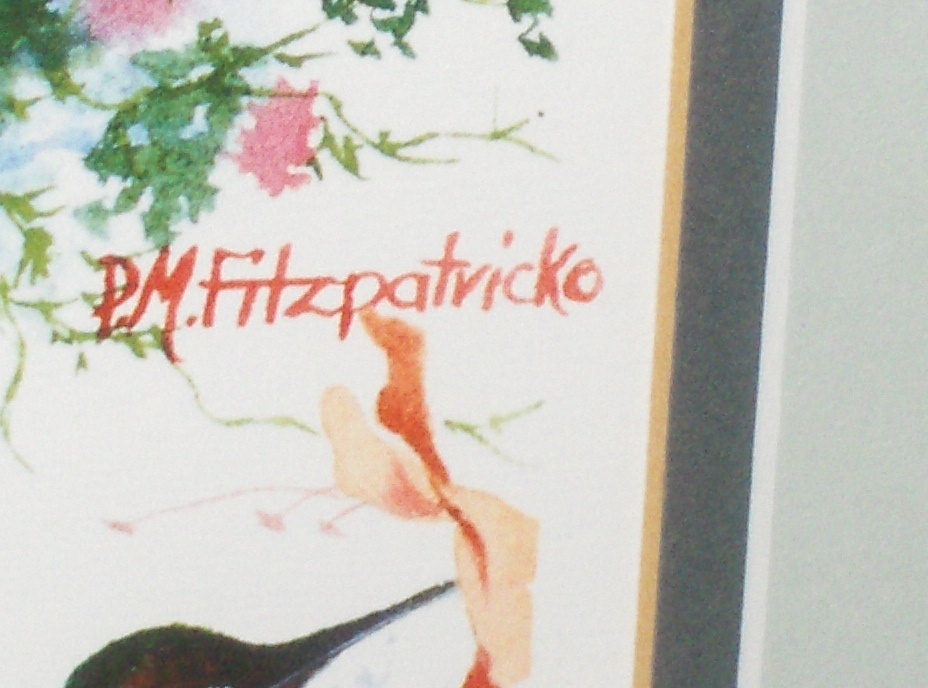 PM Fitzpatrick Hummingbird Picture Set Limited Signed Lithographs Birds ...