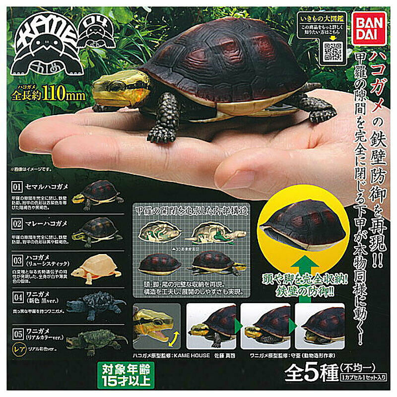 Turtle Vol. 4 Box Turtle & Alligator Snapping Turtle Mini Figure ...