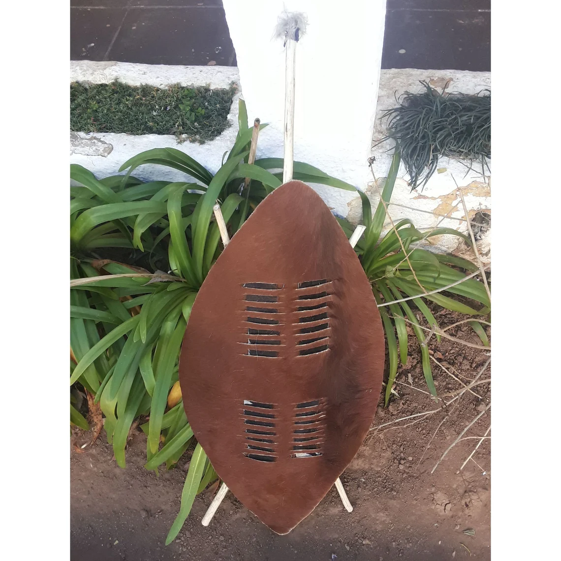 Large Dark Brown Zulu Traditional Cultural Shield, African Warrior Hat ...