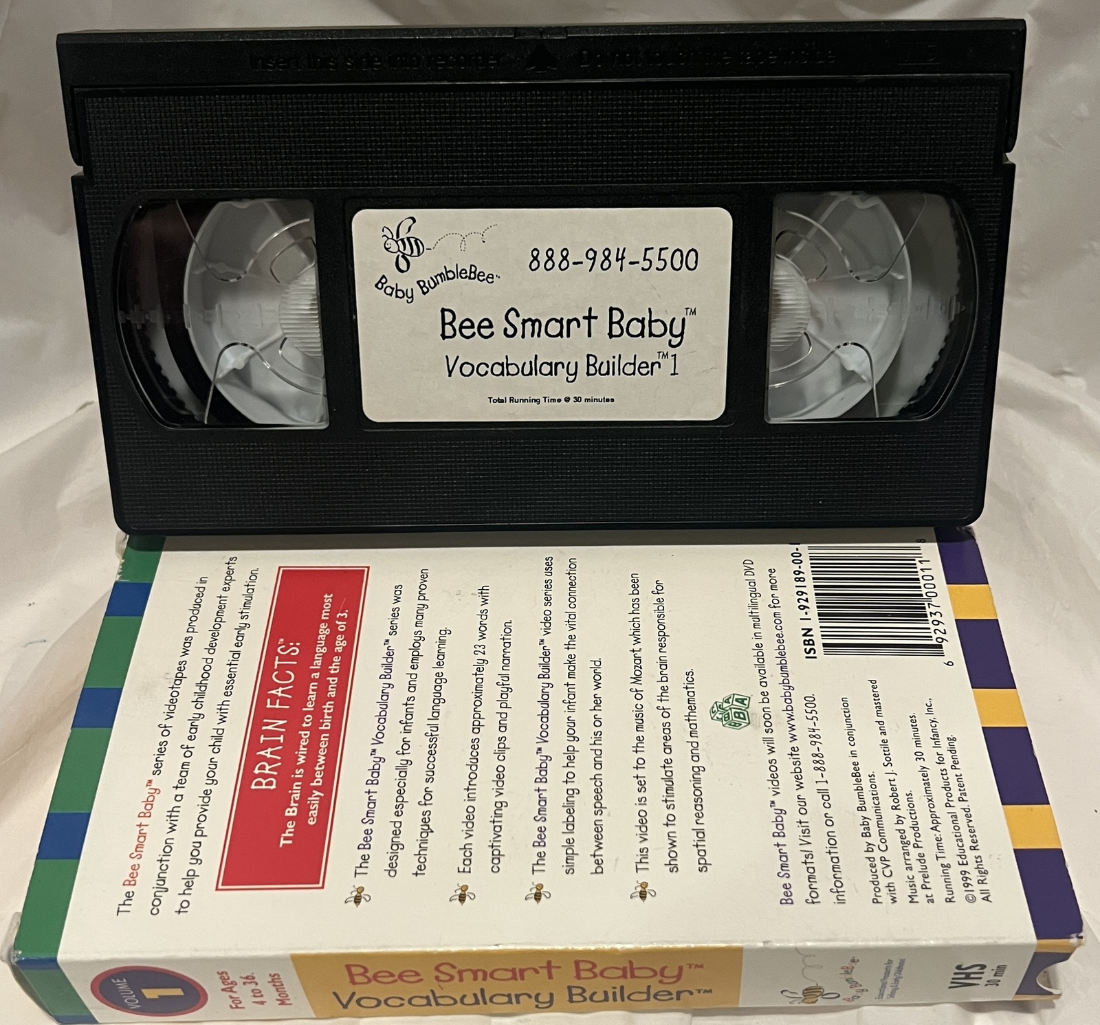 Bee Smart Baby - Vocabulary Builder Vol. 1 [VHS] 692937000118 - VHS Tapes