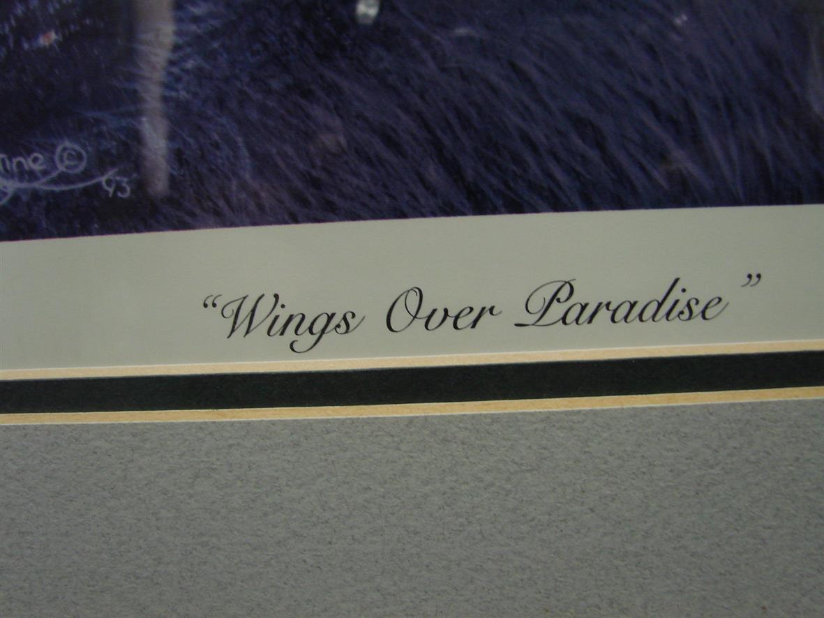 Framed, Signed, Numbered Dave Constantine Print “Wings Over Paradise ...