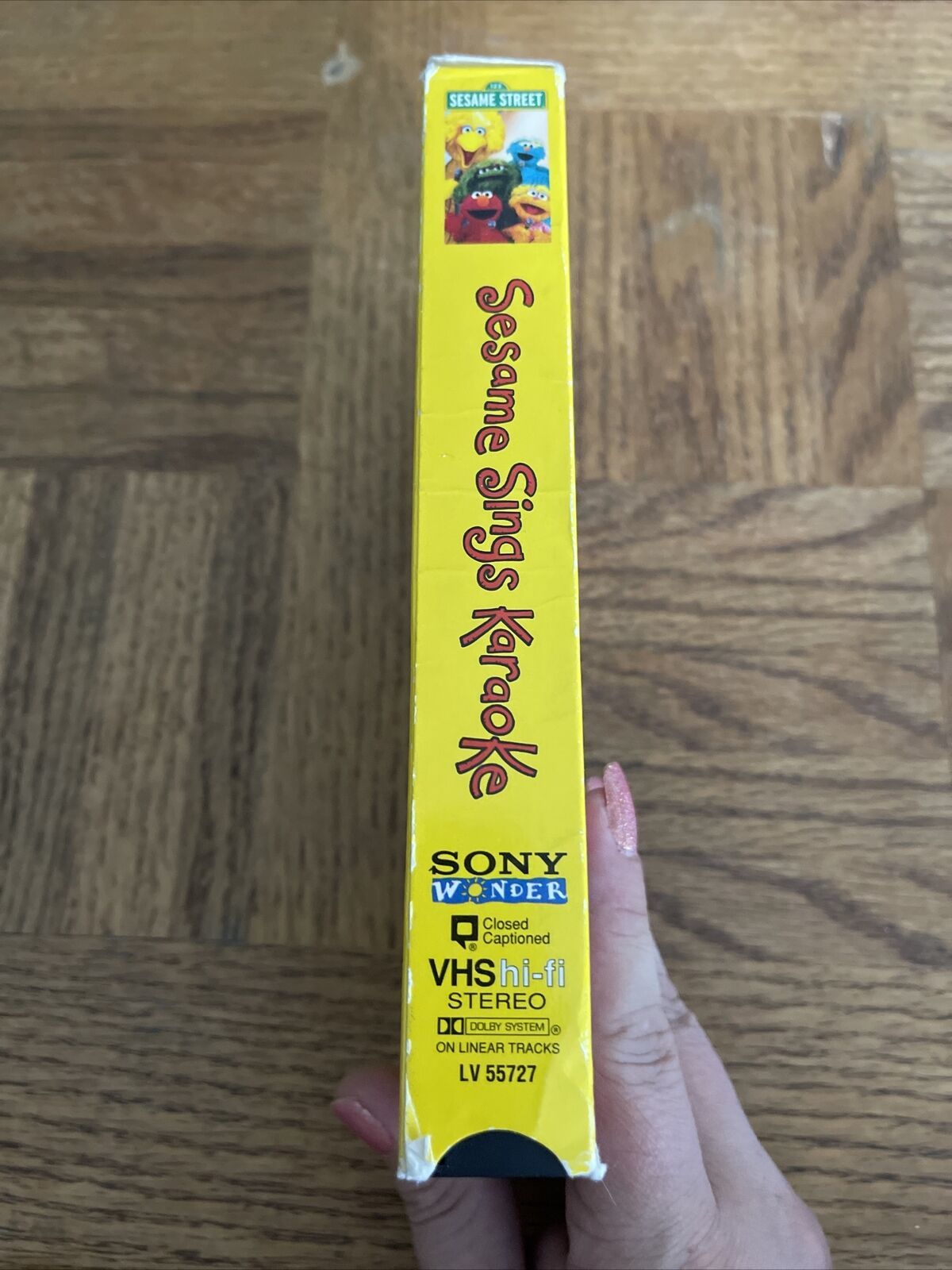 Sesame Street Sings Karaoke VHS - VHS Tapes