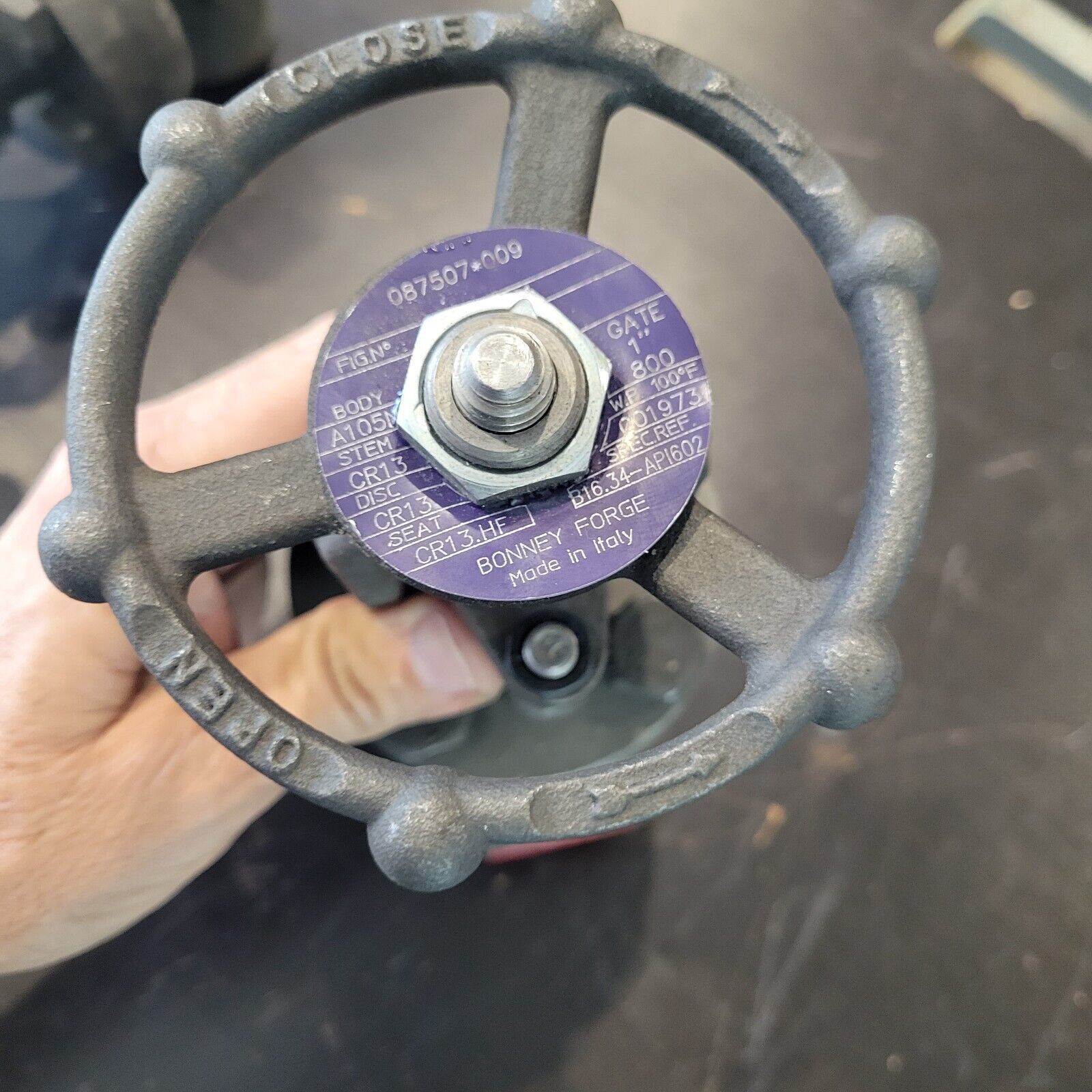 BONNEY FORGE HL11 Gate Valve 1" 800 Threaded CR13 A105N Steel Trim 8 ...