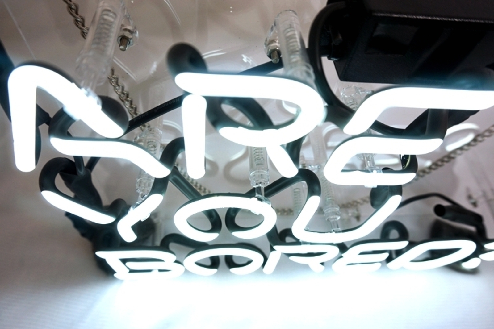 'Are You Bored' Beer Bar Pub Decor Art Real Neon Light Sign 12"x8 ...