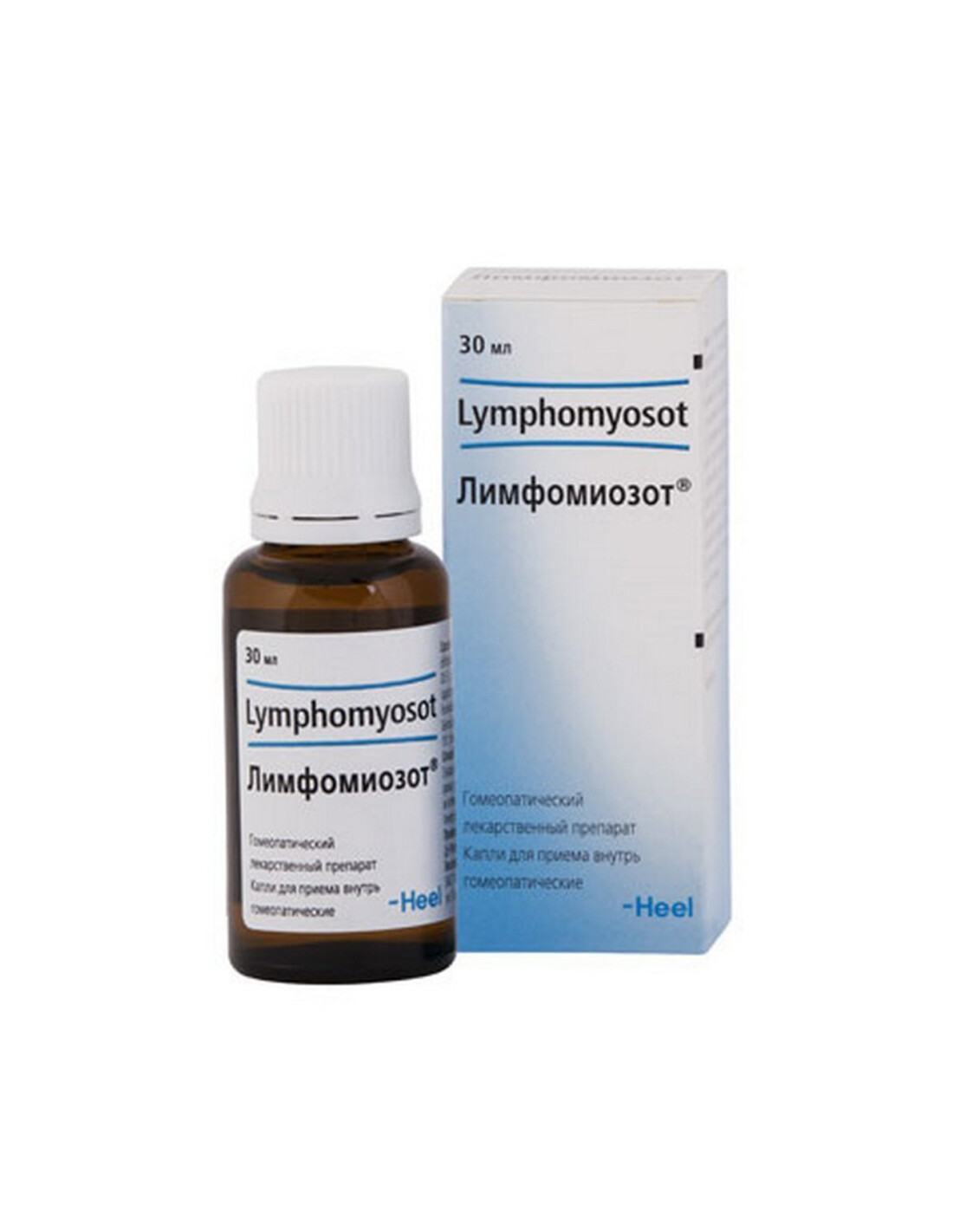 Heel Lymphomyosot 30 ml homeopathic lymphostasis edema - Homeopathic ...