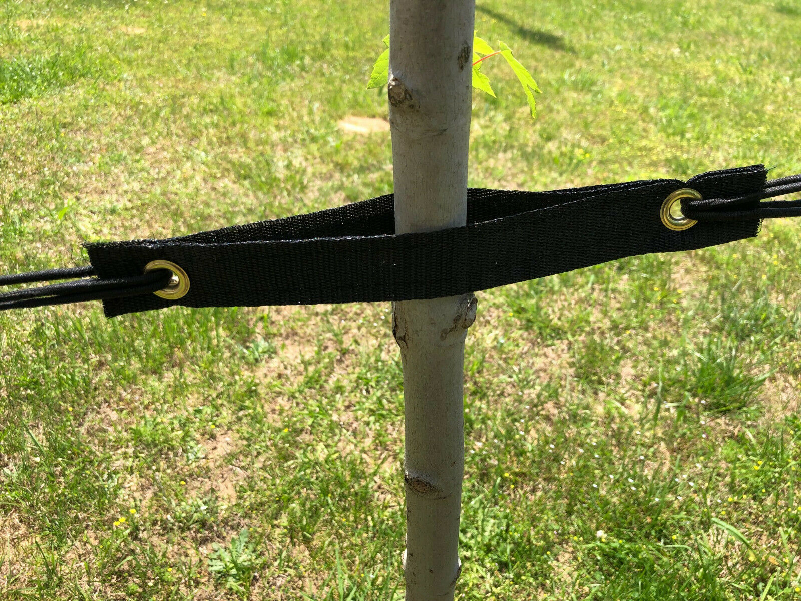 Tree Straps - Pack of 6 or 50 1”3/8 by 9” for securing trees (Free ...