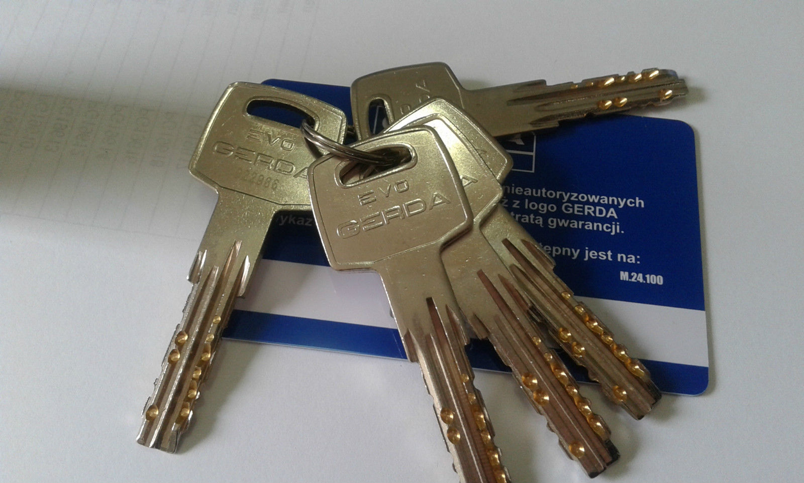 GERDA EVO High Security Lock Grade 5.1 With 5 Keys - Door Locks & Lock ...