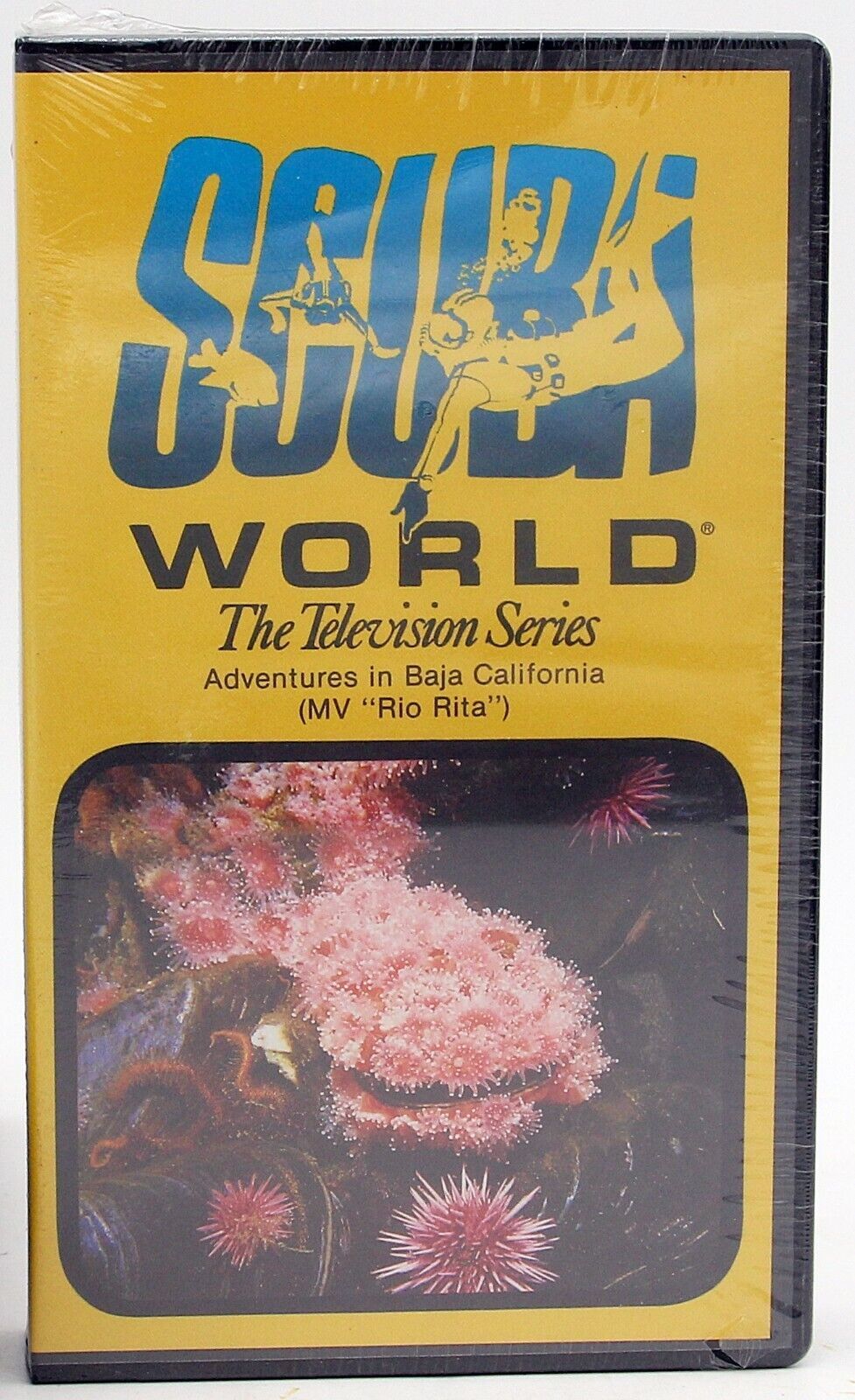 Scuba World Television Series Baja Rio Rita Dive Diving Deep Sea VHS ...