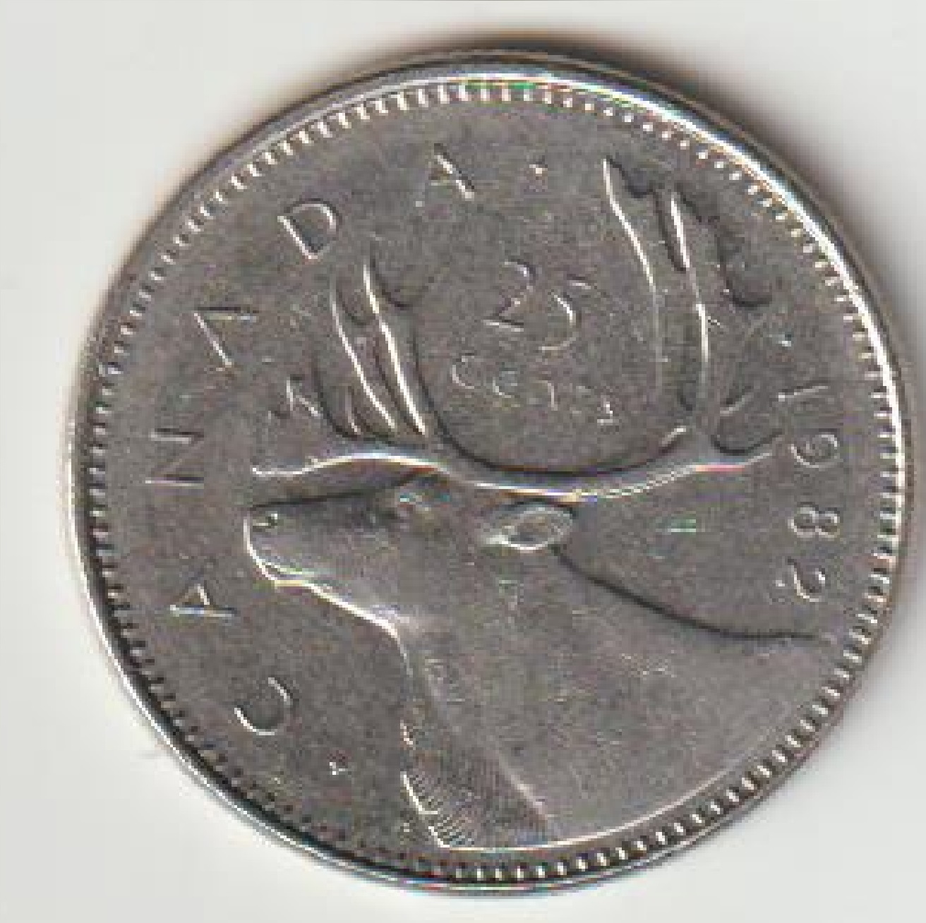 1982 Canadian The caribou Deer Twenty Five Cents Queen Elizabeth II ...