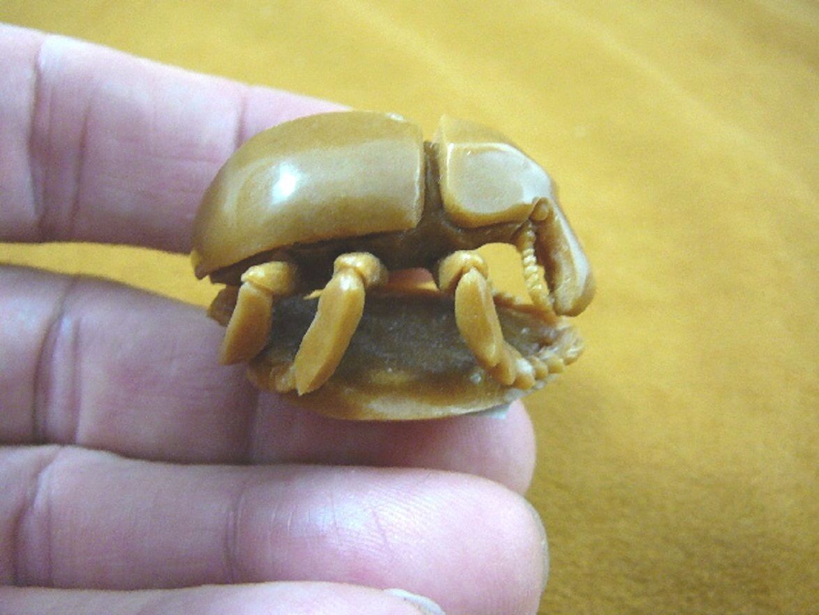 (tb-ins-8) tan Stag beetle Tagua NUT figurine Bali detailed insect ...