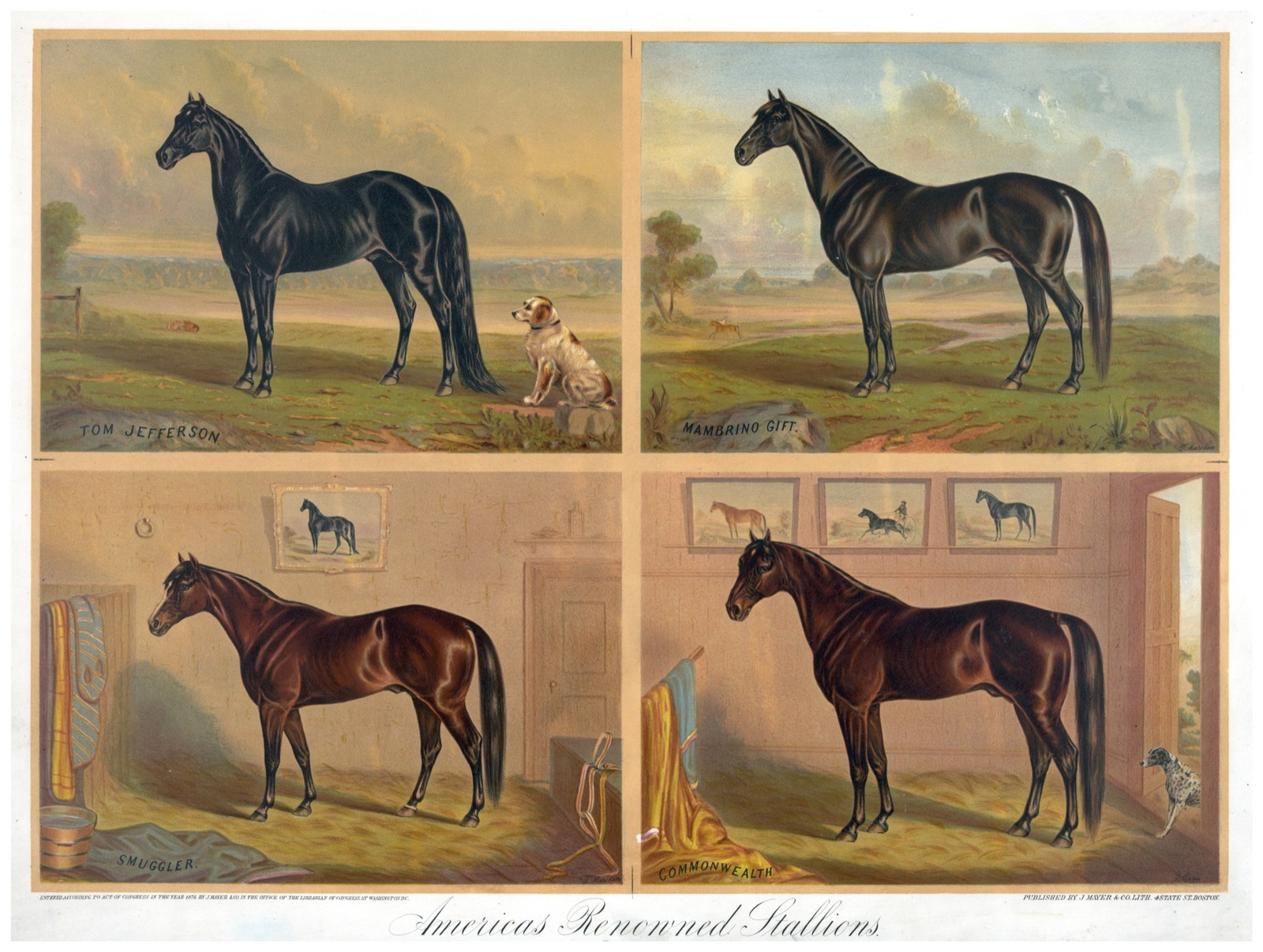 9066.America's renowned stallions.four horses.POSTER.decor Home Office ...