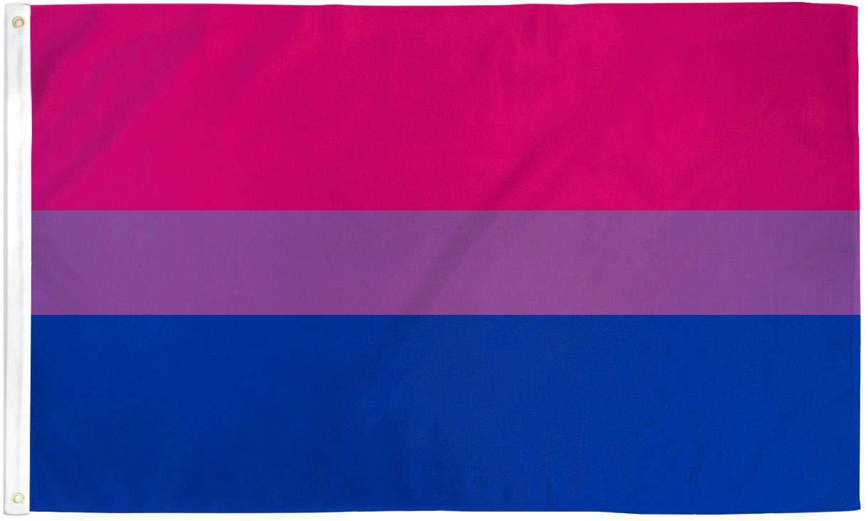 Bi Pride Flag Bisexual Banner Gay Lesbian Lgbt 3x5 Rainbow Festival